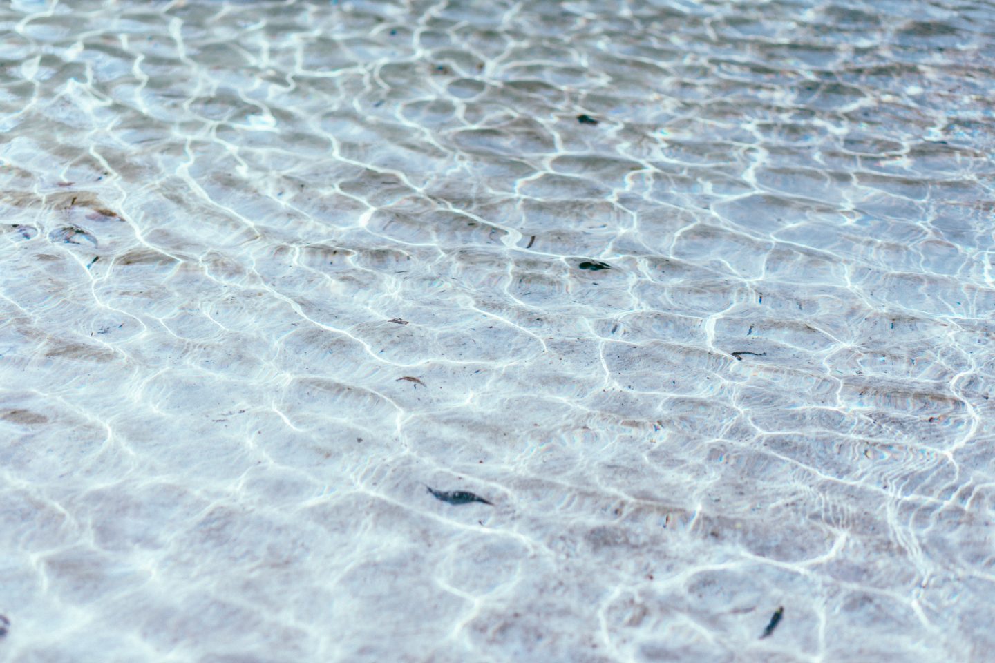 What I Learnt from Riverblue | Curiously Conscious
