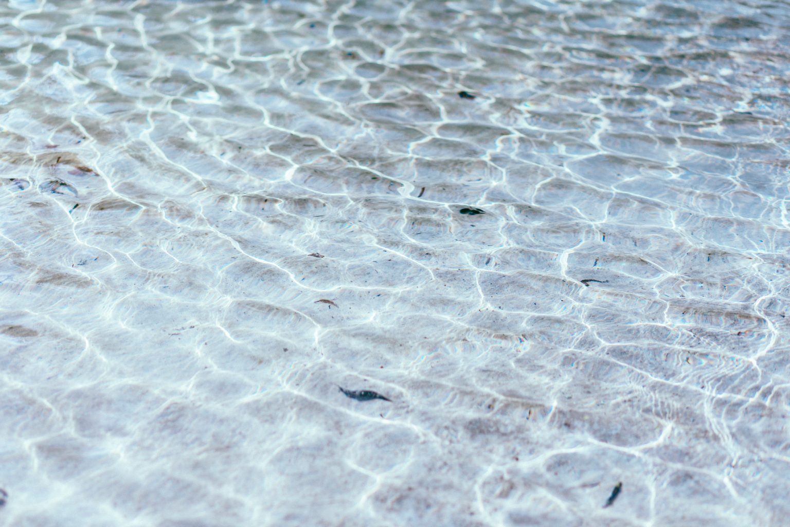 What I Learnt from Riverblue | Curiously Conscious