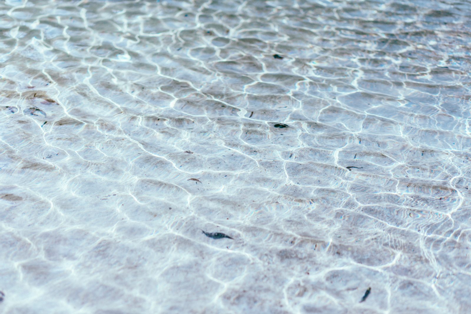 What I Learnt from Riverblue | Curiously Conscious